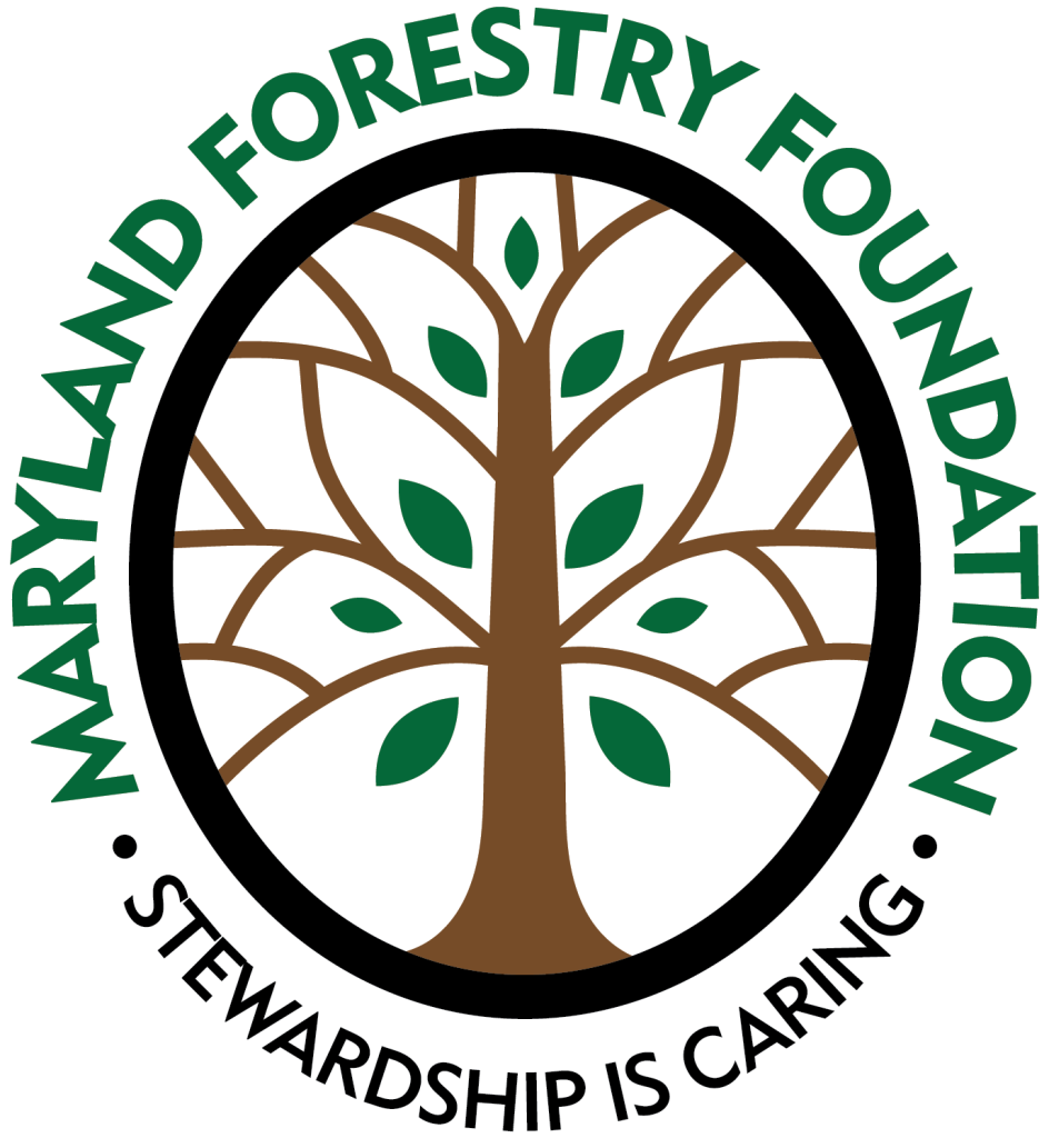 The Impact of Salt on the Ecosystem - Maryland Forestry Foundation