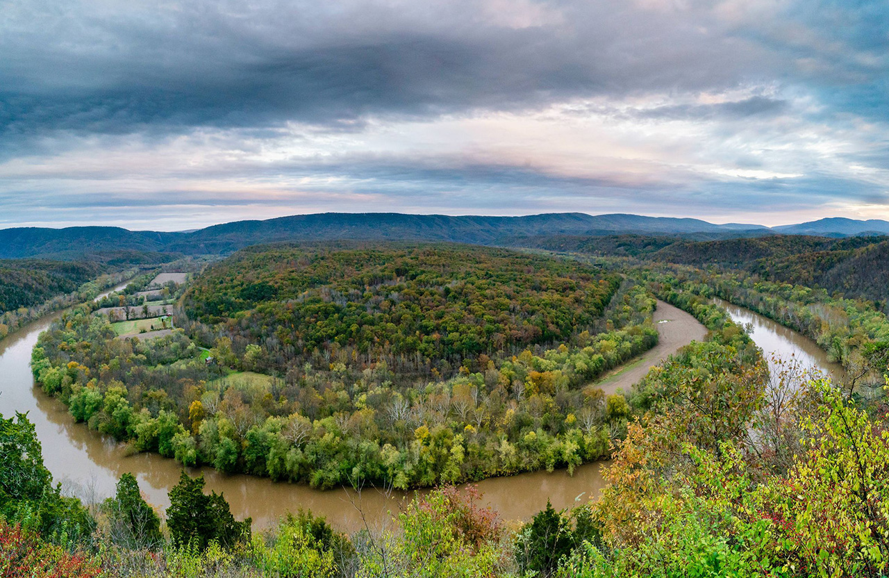 Forest Education Fund - Maryland Forestry Foundation
